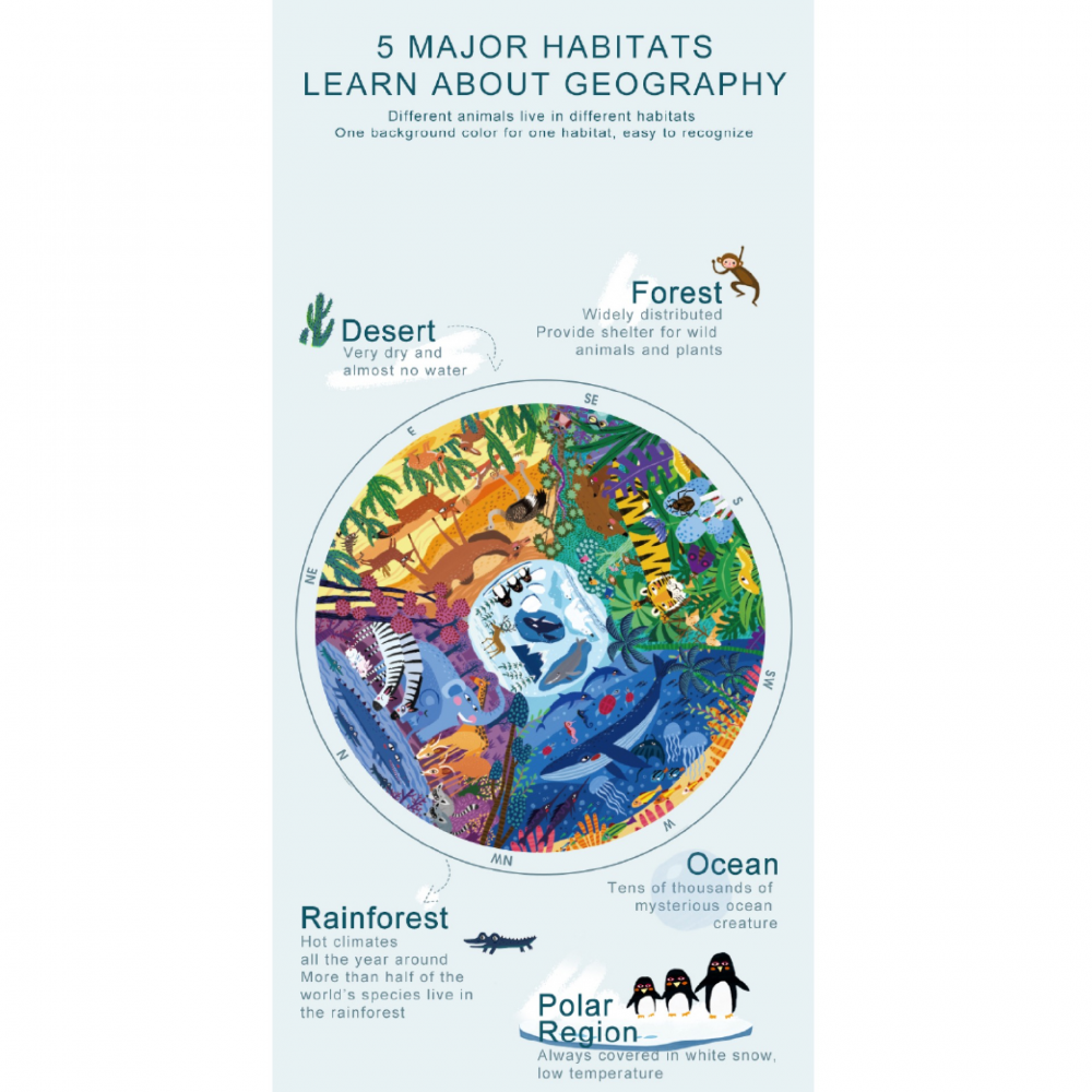 GogoKids | Animal Around The World